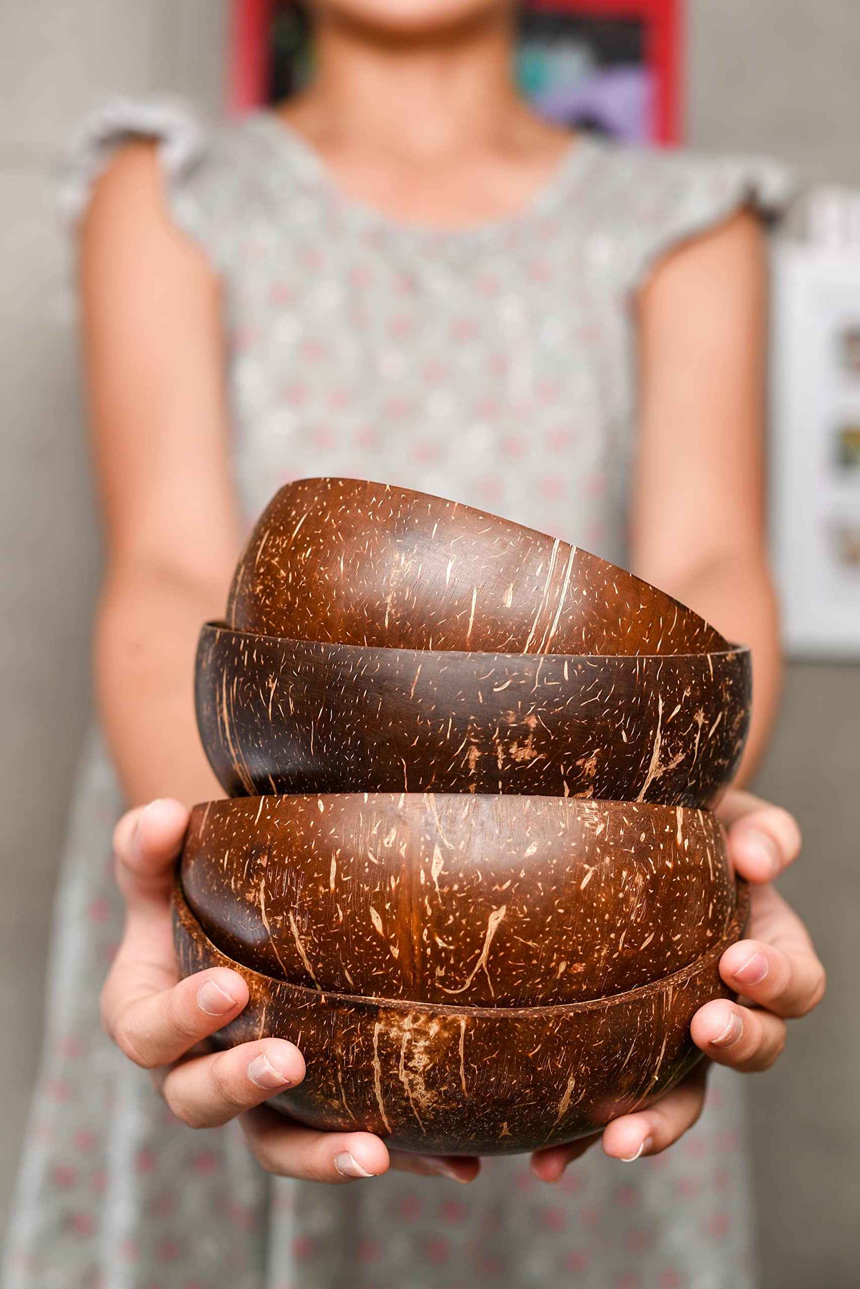 Natural Craft Coconut Bowls and Spoons set (Set of 4)