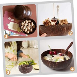 Holibanna 2 Pcs Coconut Shell Rice Bowl Pasta Containers Rice Bowls Japanese Ornament Container Ramen Bowls Ice Cream Bowl Wooden Storage Bowl Coconuts Snack Bowl Salad Storage Bowl Salad