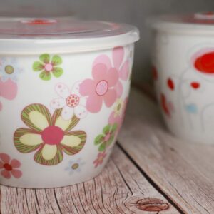 Microwavable Ceramic Noodle Bowl with Handle and Seal Fine Porcelain Floral Design (CherryBlossom)