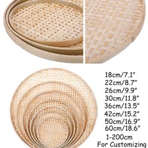 TimesFriend 100% Handwoven Flat Wicker Round Fruit Basket Woven Food Storage Weaved Shallow Tray Organizer Holder Bowl Decorative Rack Display Wall Hanging Decor for Kitchen (18cm/7", Square White)