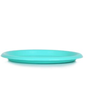 Mintra Home Snack Bowls (Party Set - 38pc) (Teal)