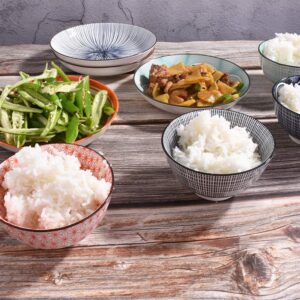 Whitenesser Japanese Ceramic Rice Bowls Set of 4, Porcelain Rice Bowls Sushi Bowls Small Rice Bowls for Soup Snack Cereal