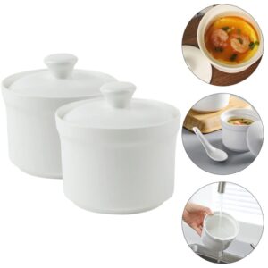 Hemoton 2pcs Ceramic Stew Pot with Lid Small Steam Soup Bowl Steaming Cup Japanese Serving Dish Seasoning Jar Sugar Pot for Egg Custard Medicinal Birds Nest Appetizer