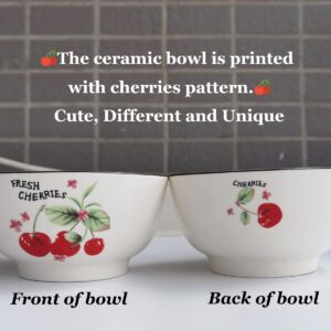 5 Pack Ceramic Bowls With Cherry Pattern, 4.64" x 2.36" Porcelain Bowls, Salad Bowls Ramen Bowls for Kitchen Restaurant Serving Bowls, Large Capacity Ceramic Bowls, Dishwasher Safe & Microwave Safe