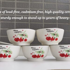 5 Pack Ceramic Bowls With Cherry Pattern, 4.64" x 2.36" Porcelain Bowls, Salad Bowls Ramen Bowls for Kitchen Restaurant Serving Bowls, Large Capacity Ceramic Bowls, Dishwasher Safe & Microwave Safe