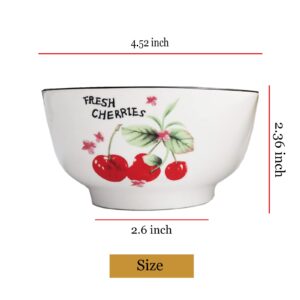 5 Pack Ceramic Bowls With Cherry Pattern, 4.64" x 2.36" Porcelain Bowls, Salad Bowls Ramen Bowls for Kitchen Restaurant Serving Bowls, Large Capacity Ceramic Bowls, Dishwasher Safe & Microwave Safe