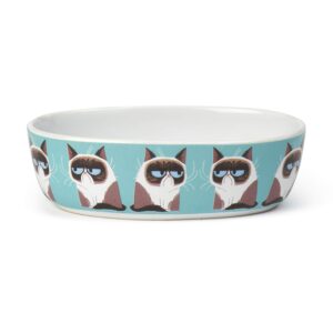 PetRageous G16093 Grumpy Cat Oval Dishwasher Safe Cat Stoneware Cat Bowl 6.5-Inch Long 4-Inch Wide 2-Inch Tall 2-Cups Capacity for Cats with Grumpy Cat Logos and Catch Phrase