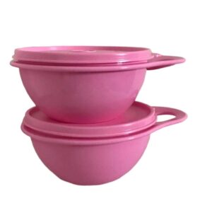 set of 2 extra mini thatsa bowls 2.5 cups