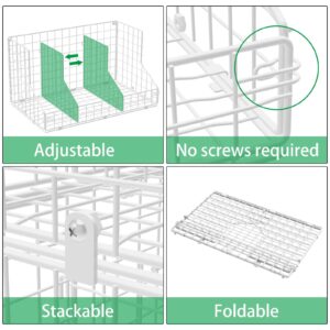 Stackable Can Rack Organizer for Pantry Storage, Can Dispensers with 4 Adjustable Dividers, 2-Tier Metal Wire Basket Beverage Pop Soda Rack for Kitchen Cabinet Pantry, White