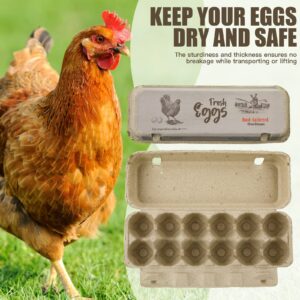 PerKoop 240 Pcs 2x6 Egg Cartons Bulk 1 Dozen Cardboard Egg Cartons Paper Pulp Egg Cartons for Farm Market Family Kitchen Storing Eggs, Chicken Eggs