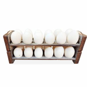 Rockin' Wood Egg Holder Tray- Countertop Stackable Egg Rack For Fresh Eggs - Made in the USA with real rustic reclaimed wood - egg sorter - wood egg tray (Double Tray)