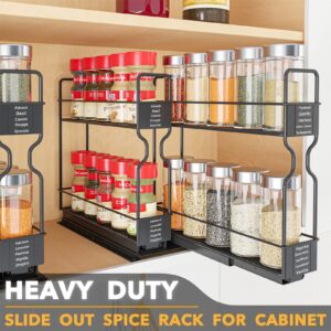 SpaceAid Pull Out Spice Rack Organizer for Cabinet, 2 Drawers 2-Tier, Pull Out Spice Rack Organizer with 20 Jars