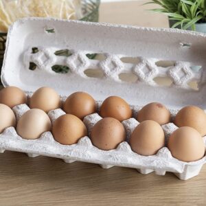 CROKI Blank Egg Cartons - 110 Count - 12 Egg Capacity, Unprinted, Strong Biodegradable Pulp Fiber, Perfect for Storing up to 12 Small to Medium Chicken Eggs