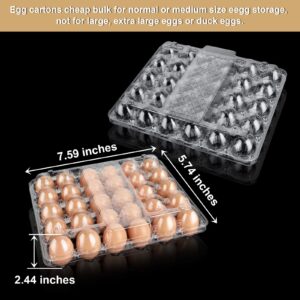 YAYODS 20 Pack Egg Cartons Cheap Bulk, Reusable Plastic Egg Cartons for Chicken Eggs, Holds up to 30 Eggs, Clear Empty Reusable Egg Carton for Home Ranch Chicken Farm, Business Market Display