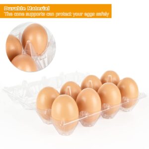 ZOFORTY Plastic Egg Cartons Bulk - 50 Pack Clear Egg Cartons Empty Chicken Egg Tray Reusable Egg Carton Holder for Family Pasture Chicken Farm Market Display (8 Grids)