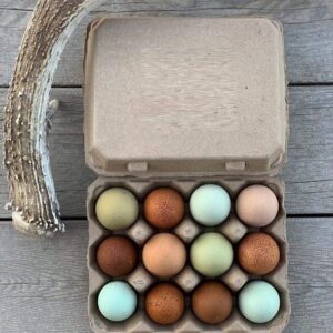 Midautoo 40Pcs Vintage Blank Egg Cartons- Classic 3X4 Style Holds 12 Eggs, Sturdy Design Made from Recycled Egg Box D