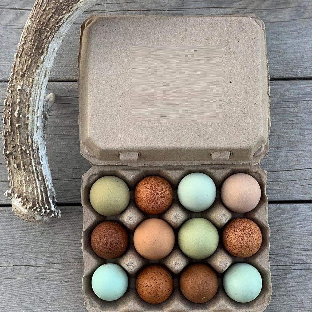 Midautoo 40Pcs Vintage Blank Egg Cartons- Classic 3X4 Style Holds 12 Eggs, Sturdy Design Made from Recycled Egg Box D