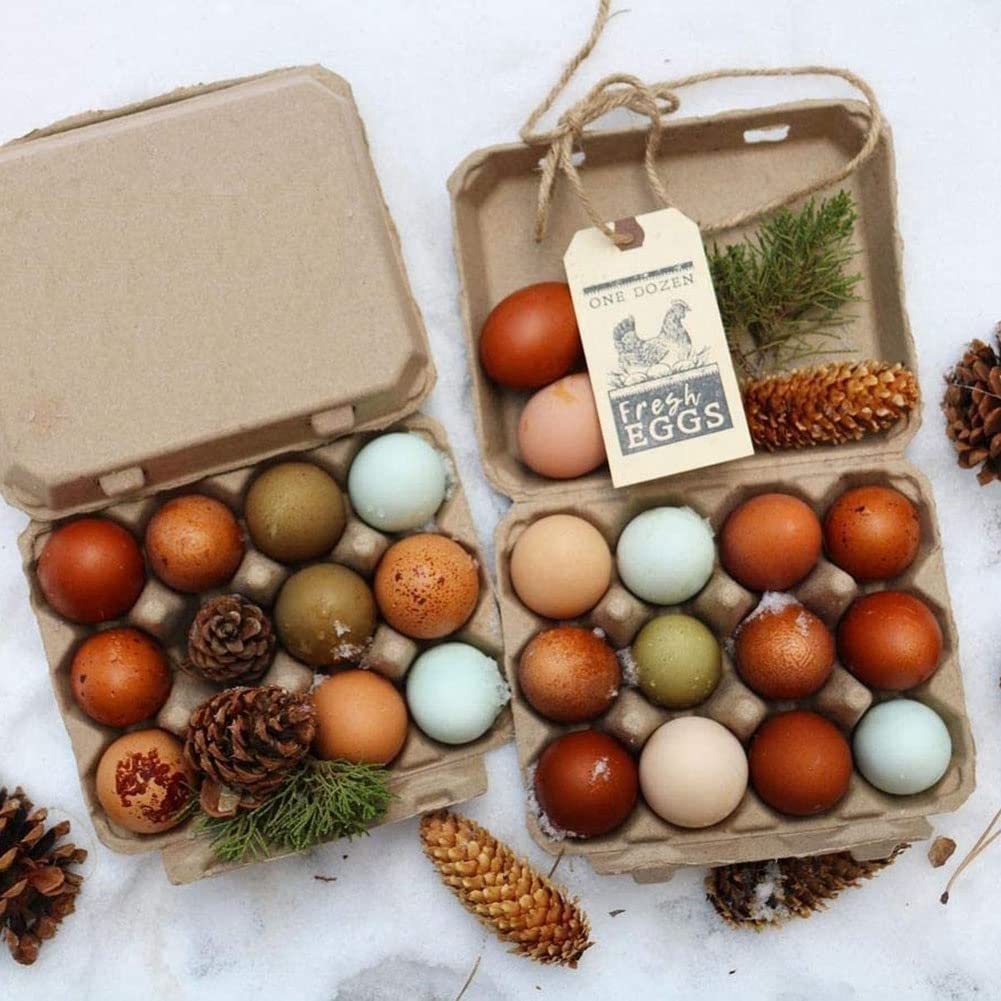 Midautoo 40Pcs Vintage Blank Egg Cartons- Classic 3X4 Style Holds 12 Eggs, Sturdy Design Made from Recycled Egg Box D