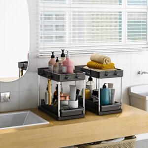 2-Tier Undersink Organizer, Cabinet Storage for Kitchen and Bathroom, Sliding Drawer Storage Organizer, With Adjustable Hooks, Dividers, External Handles, Multi-Purpose Undersink Storage Shelf-2 Pack