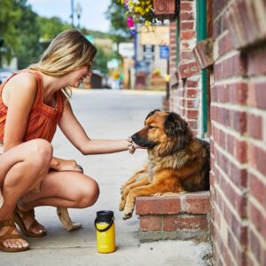 Hydro Flask 20 Oz Wide Flex Sip Lid Stone With Dishwasher Safe,Double-wall - Aluminum