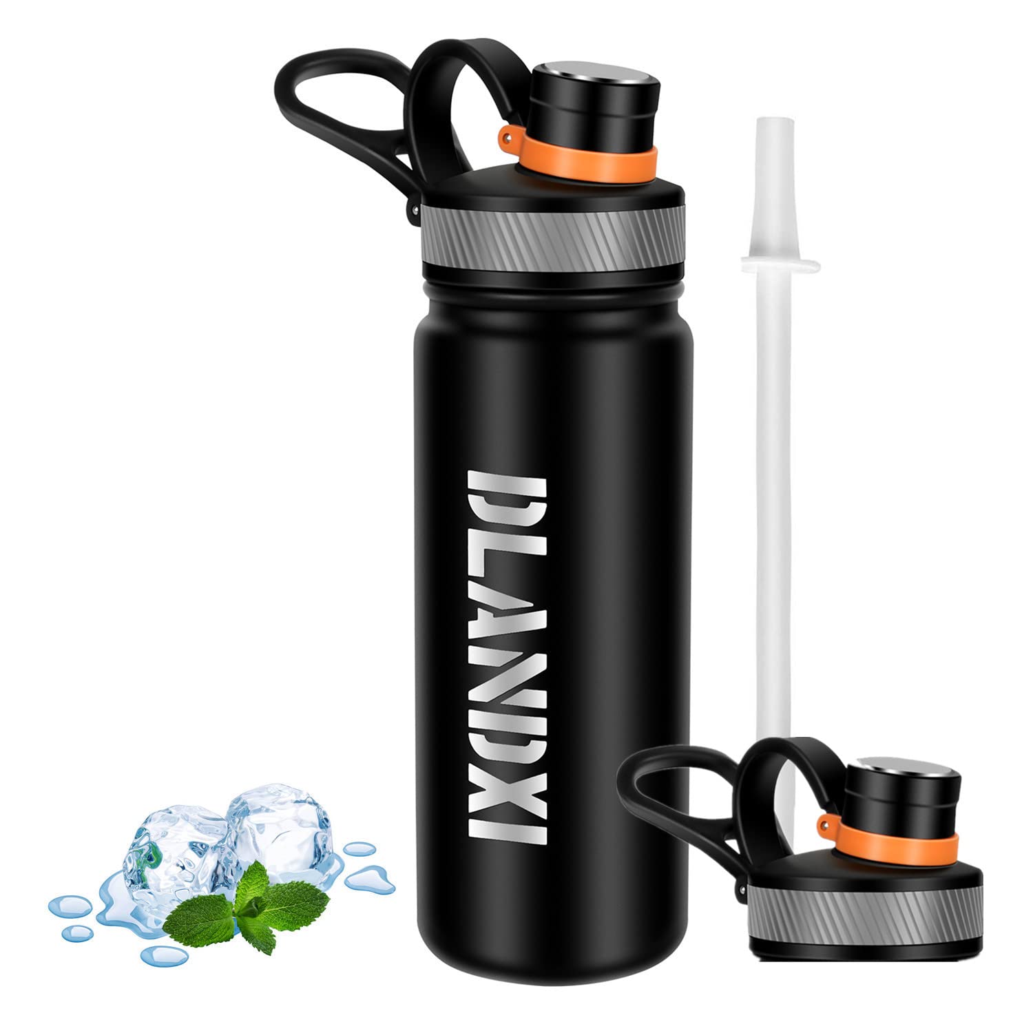 DLANDXI 24 Oz Insulated Stainless Steel Water Bottle with Straw Double-Wall Vacuum Thermal Keep Warm Cold for Kids Adults(Black)