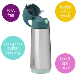 b.box 16.9 oz Insulated Drink Bottle: Keeps Drinks Cold up to 15 Hours, Warm up to 8 Hours. Triple Wall Stainless Steel (Emerald Forest, 16.9 oz)