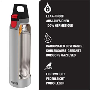 SIGG - Insulated Thermo Flask Hot & Cold ONE Light - With Fruit Filter - Leakproof - BPA-Free 18/8 Stainless Steel 19Oz