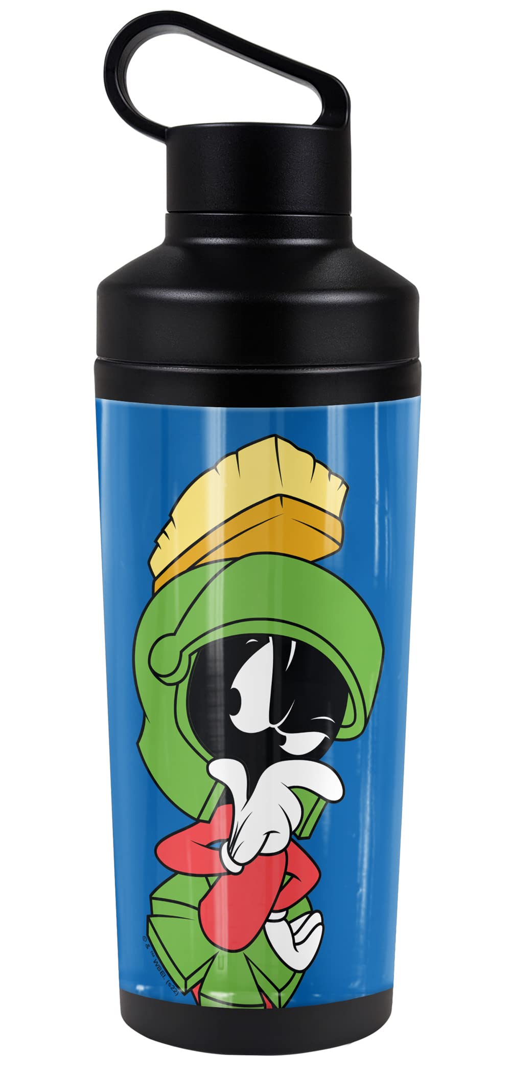 Looney Tunes OFFICIAL Marvin The Martian 18 oz Insulated Water Bottle, Leak Resistant, Vacuum Insulated Stainless Steel with 2-in-1 Loop Cap