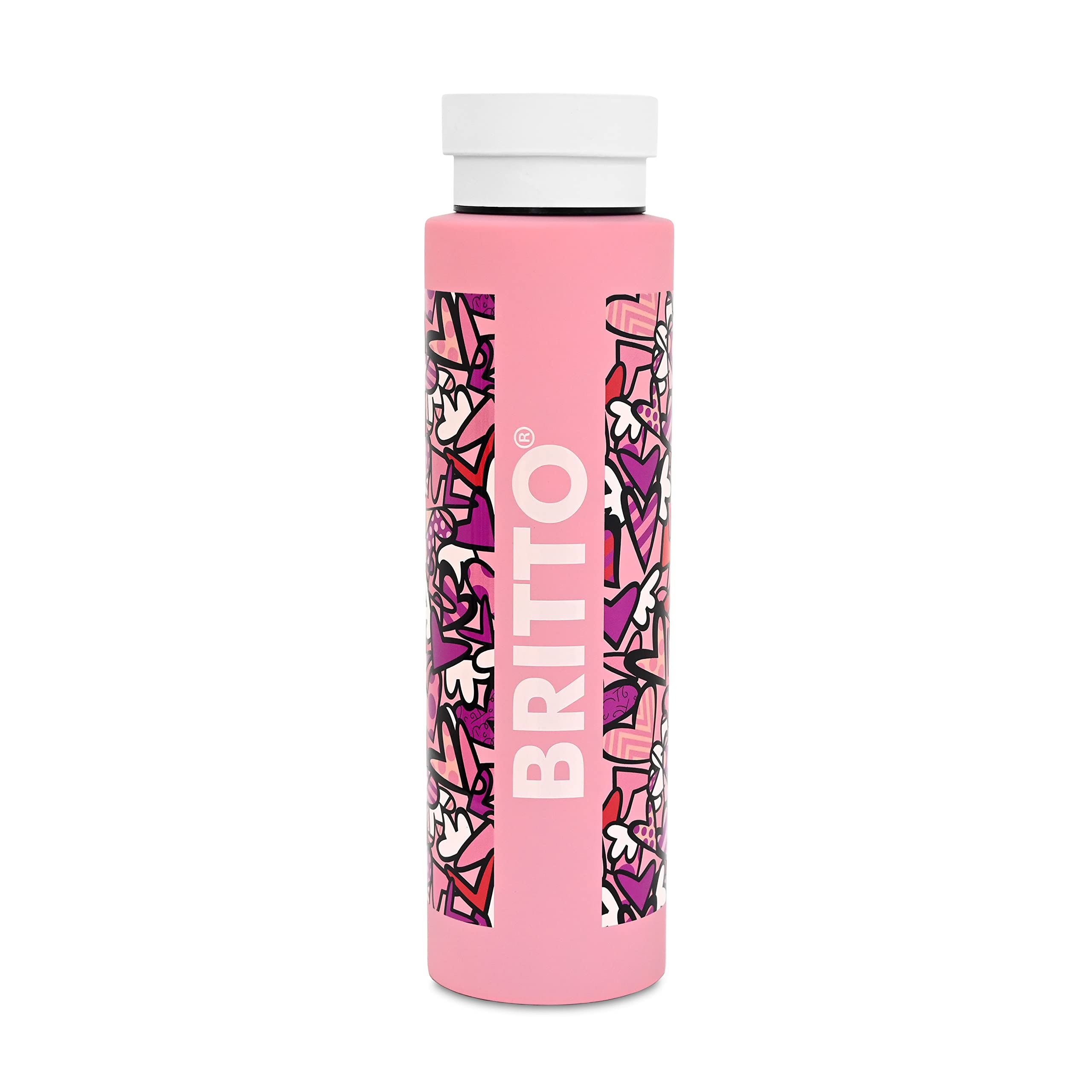 BRITTO Romero 25oz Insulated Water Bottle, Stainless Steel, Alive - Pink'