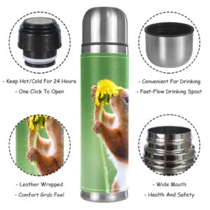 Stainless Steel Vacuum Insulated Mug, Red Squirrel Green Print Thermos Water Bottle for Hot and Cold Drinks Kids Adults 17 Oz