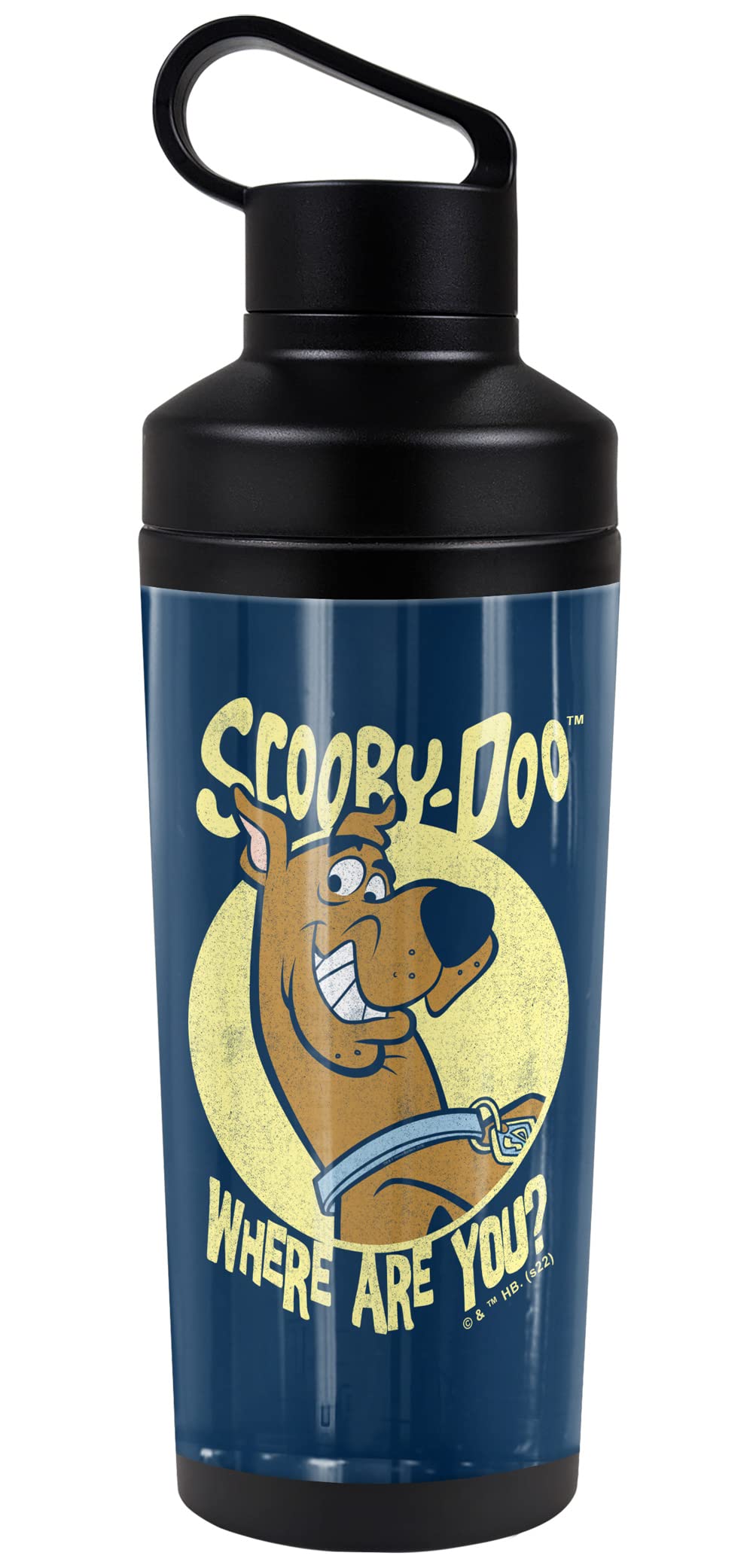 Scooby Doo! OFFICIAL Where Are You 18 oz Insulated Water Bottle, Leak Resistant, Vacuum Insulated Stainless Steel with 2-in-1 Loop Cap