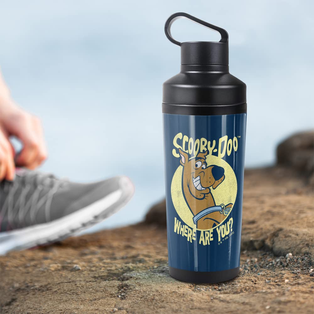 Scooby Doo! OFFICIAL Where Are You 18 oz Insulated Water Bottle, Leak Resistant, Vacuum Insulated Stainless Steel with 2-in-1 Loop Cap