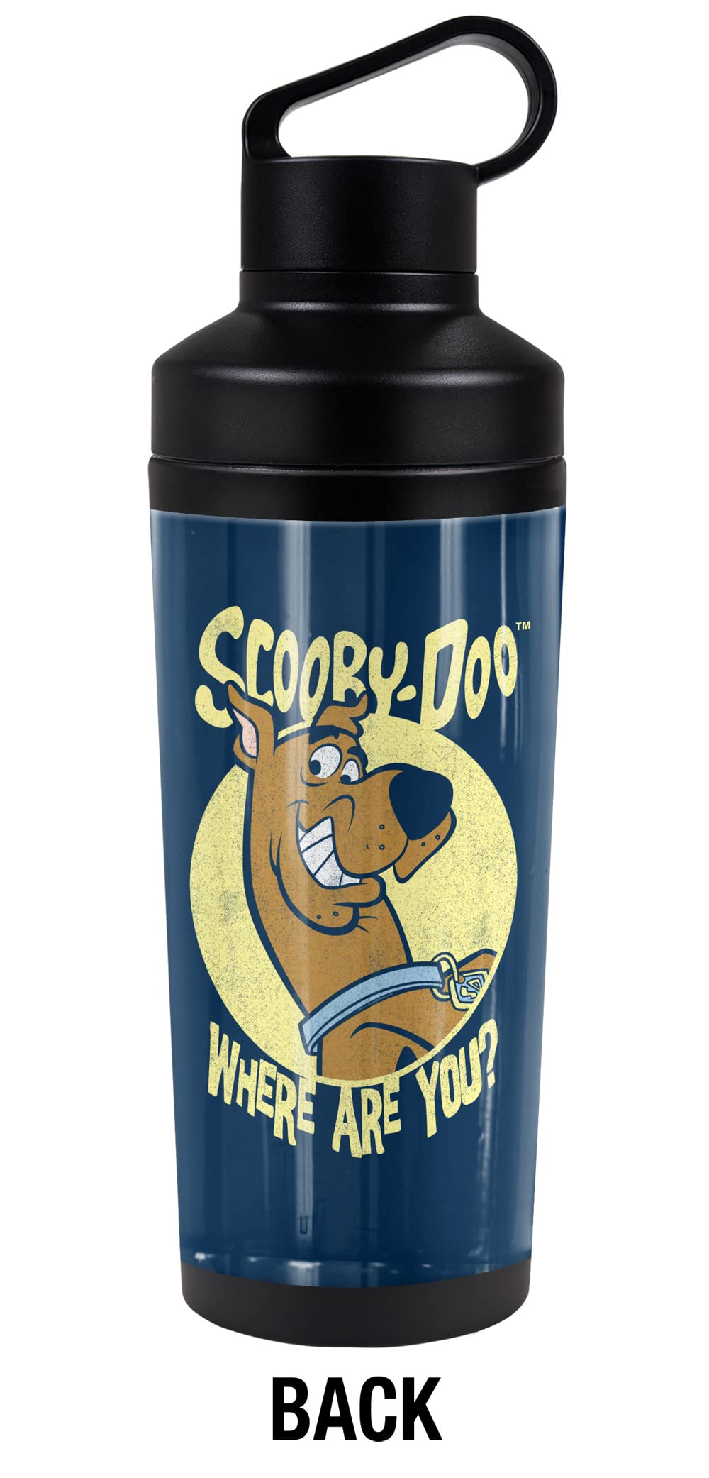 Scooby Doo! OFFICIAL Where Are You 18 oz Insulated Water Bottle, Leak Resistant, Vacuum Insulated Stainless Steel with 2-in-1 Loop Cap