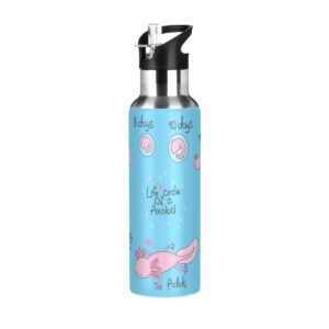 glaphy cute funny axolotl blue water bottle with straw lid, bpa-free, 32 oz water bottles insulated stainless steel, for school, office, gym, sports, travel