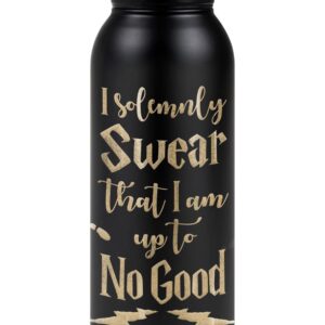 Harry Potter OFFICIAL No Good 24 oz Insulated Canteen Water Bottle, Leak Resistant, Vacuum Insulated Stainless Steel with Loop Cap