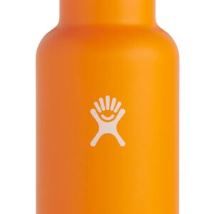 Hydro Flask Standard Mouth Bottle with Flex Cap