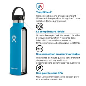 Hydro Flask Standard Mouth Bottle with Flex Cap