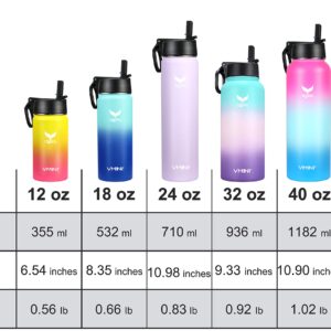 Vmini Water Bottle with New Wide Handle Straw Lid, Wide Mouth Vacuum Insulated 18/8 Stainless Steel, 4 Straws and 2 Brushes, 32 oz, Gradient Pink + Blue