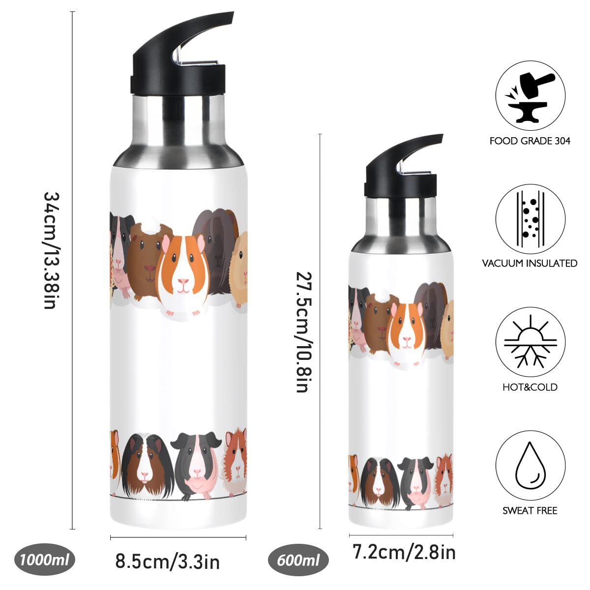 Glaphy Guinea Pigs Pattern Water Bottle with Straw Lid, BPA-Free, 20 oz Water Bottles Insulated Stainless Steel, for School, Office, Gym, Sports, Travel