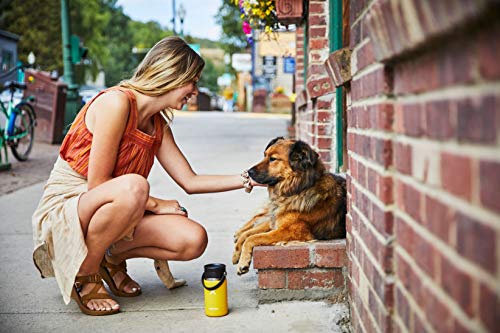 Hydro Flask 16 oz Wide Mouth Bottle with Flex Sip Lid White