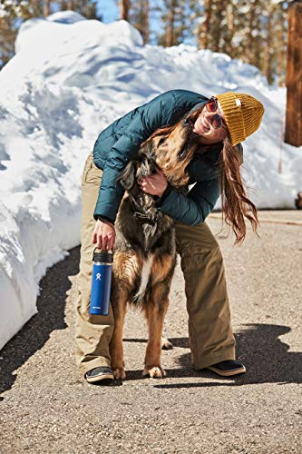 Hydro Flask 16 oz Wide Mouth Bottle with Flex Sip Lid White