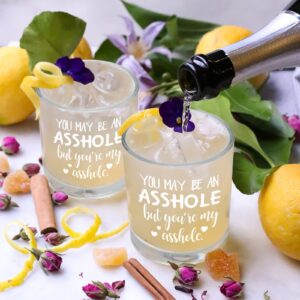 DAZLUTE You May Be an Asshole But You’re My Asshole Whiskey Glass, Funny Valentine's Day Gifts Fiance Gifts for Men Husband Fiance Him Mr Boyfriend Couples, Gag Gifts for Birthday Anniversary, 10 Oz