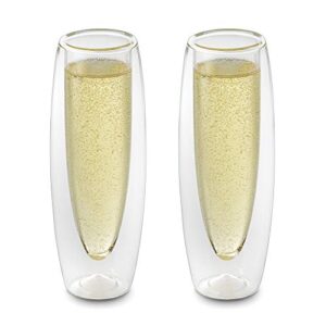 Outset Stemless Champagne Flutes Double Wall Glassware, Borosilicate Glass 2 Count (Pack of 1)