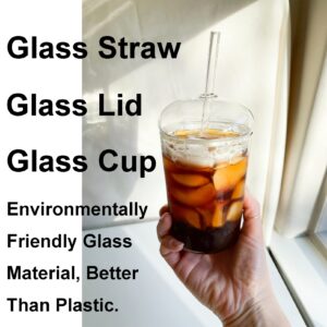 AETVRNI Iced Coffee Cup Glass Tumbler with Glass Straw And Glass Lid Wide Mouth Reusable Smoothie Cup with Straw Glass Water Bottle with Lid 16Oz Glass Drinking Bottle,Clear