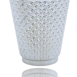 Exquisite 100 Pcs - 50 Sets of 5.5 oz Disposable Plastic Kiddush Cup and Tatz Silver Cup and Saucer Set for Passover, Shabbat, Wedding, Brit and Year Round - Bulk Pack