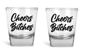 artisan owl cheers bitches ladies' night celebration funny shot glass (2)