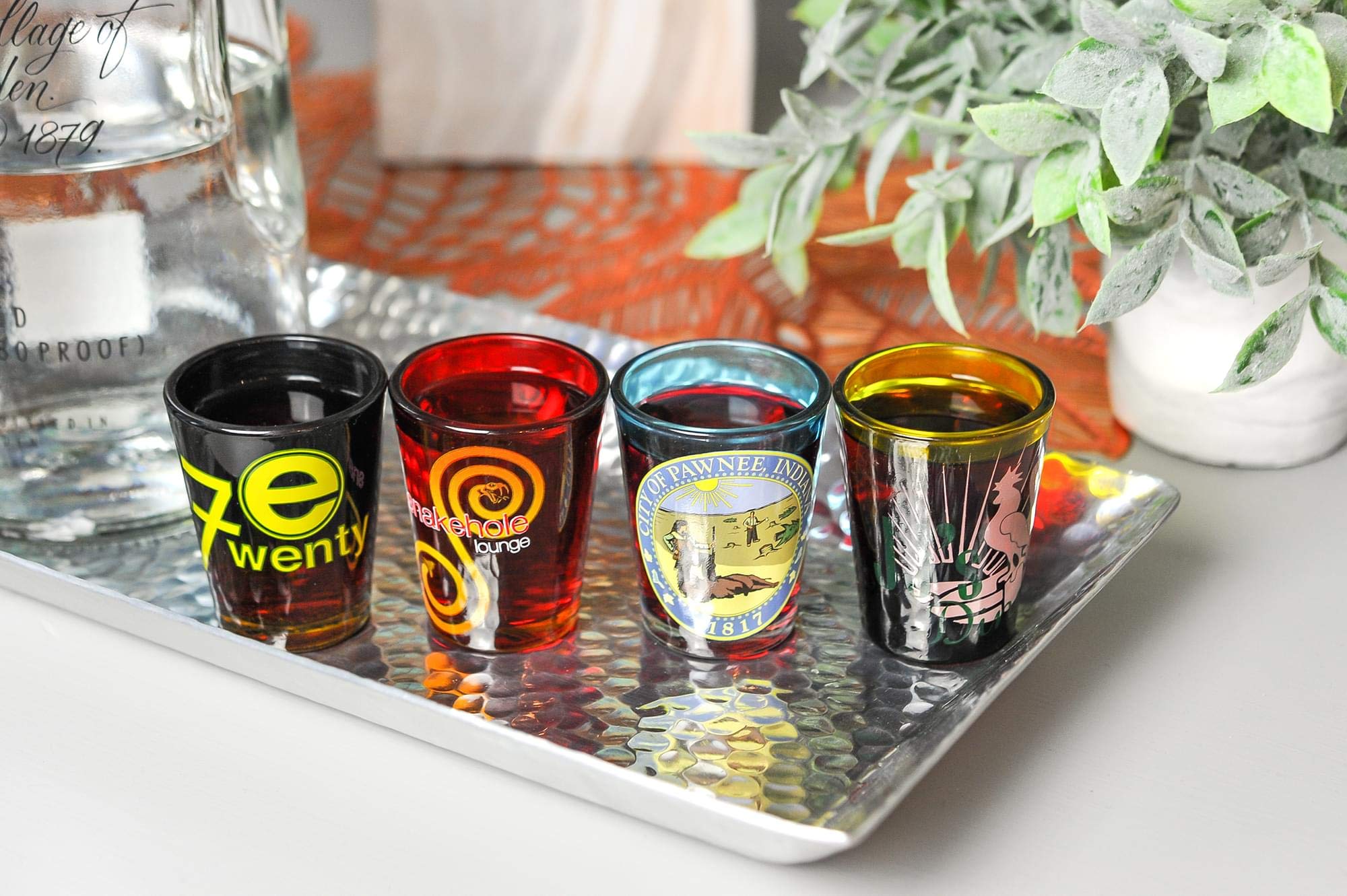 Surreal Entertainment Parks and Recreation Location Logos 4 Piece Shot Glass Set