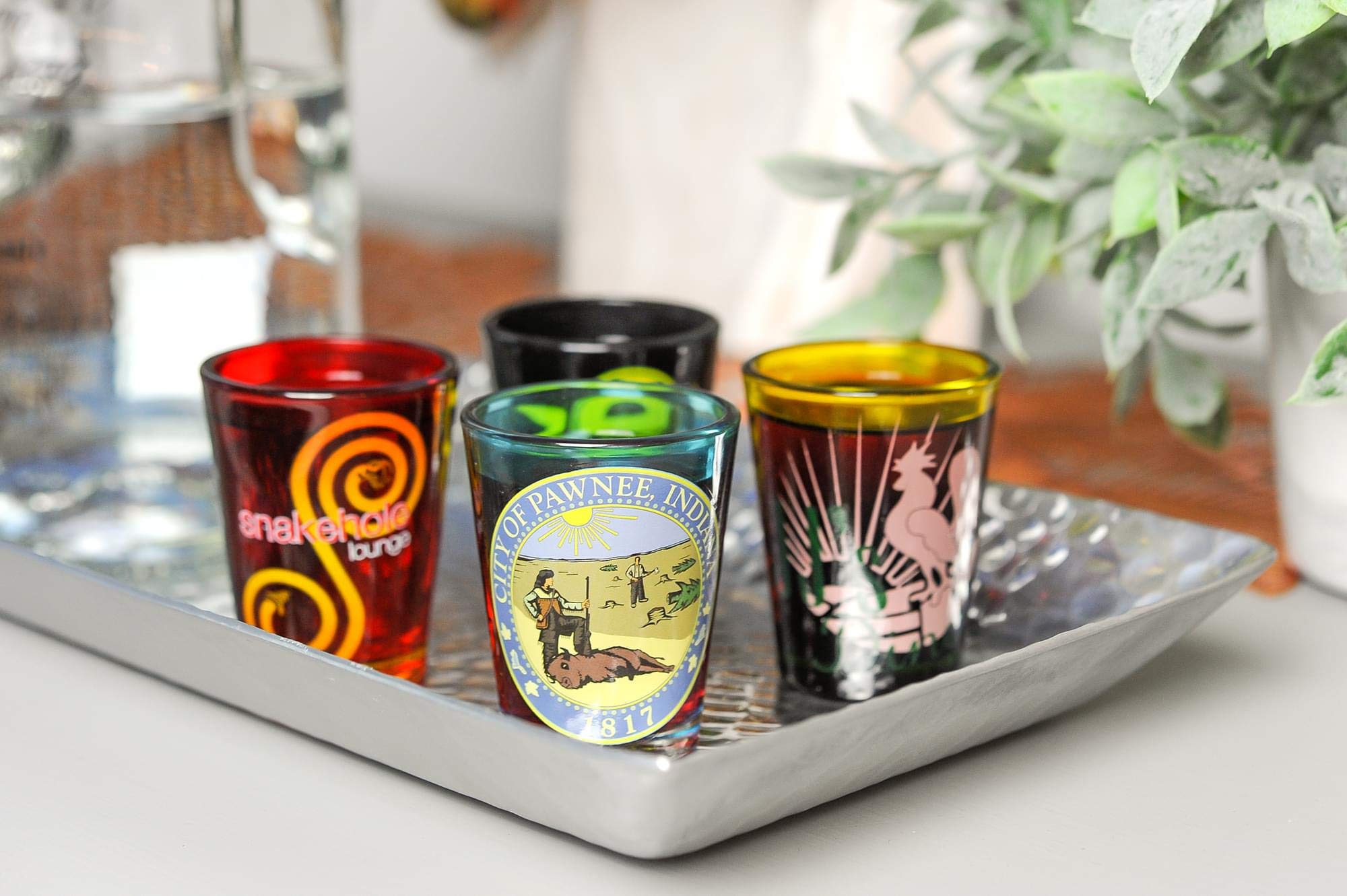 Surreal Entertainment Parks and Recreation Location Logos 4 Piece Shot Glass Set