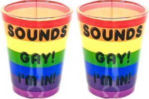 black ball corp. sounds gay i'm in - 2oz novelty shot glass - 2 piece set