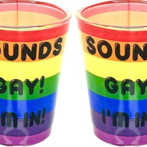 Black Ball Corp. Sounds Gay I'm In - 2oz Novelty Shot Glass - 2 Piece Set